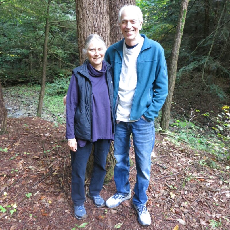 First Forest - Foundation for Sustainable Forests