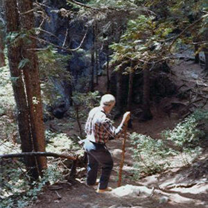 Bail Family Forest - Foundation for Sustainable Forests