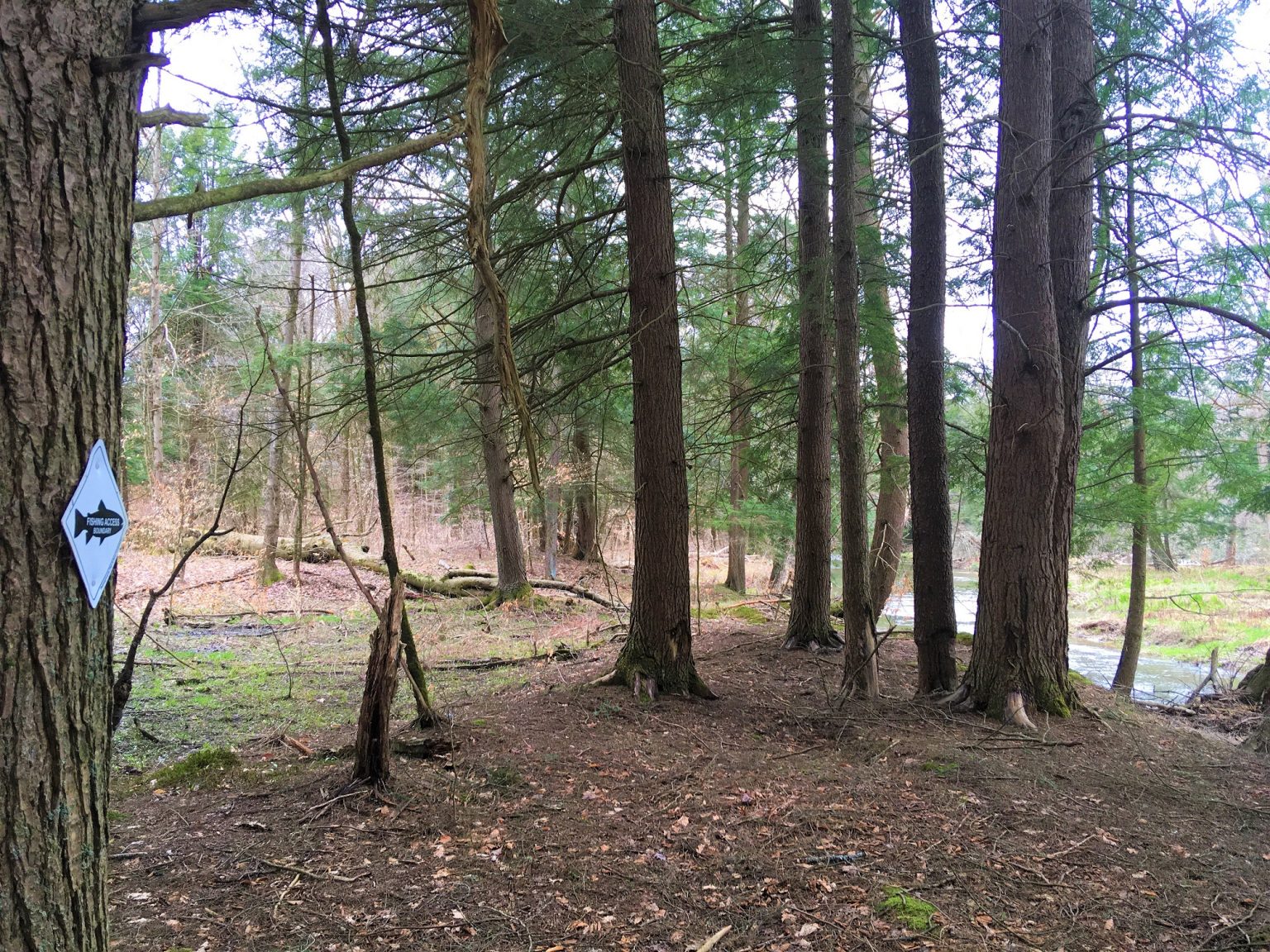 Conserved Lands - Foundation for Sustainable Forests