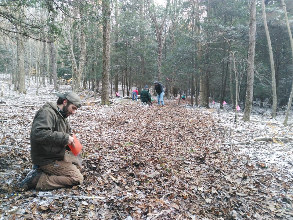 Introducing Jim Finley Stewardship Day - Foundation for Sustainable Forests