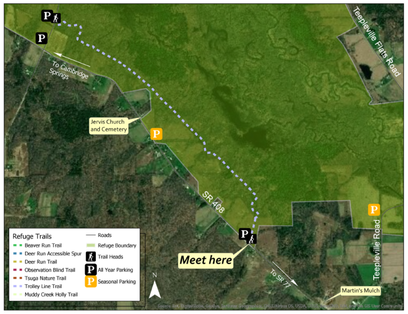 Lynn Firth Wildflower Walk - Foundation for Sustainable Forests