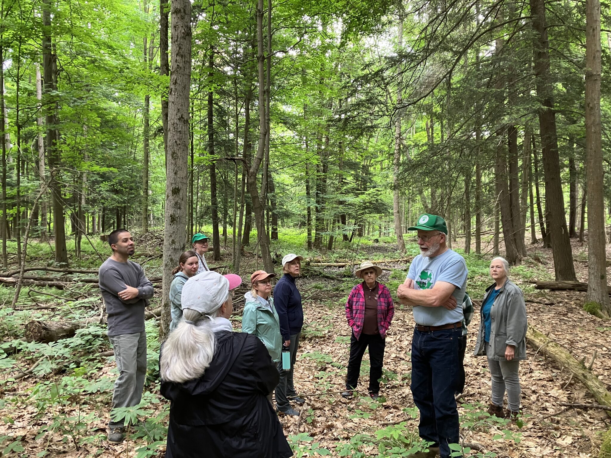 Loving the Land Through Working Forests - Foundation for Sustainable ...