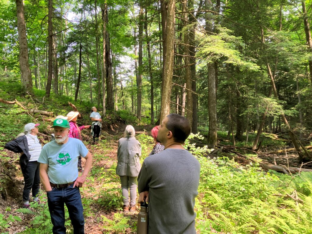 Chautauqua County Master Gardeners visit First Forest - Foundation for ...