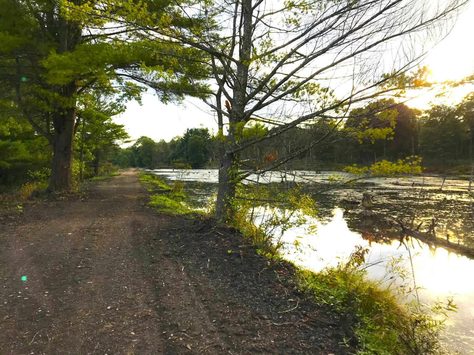 Conserved Lands - Foundation for Sustainable Forests