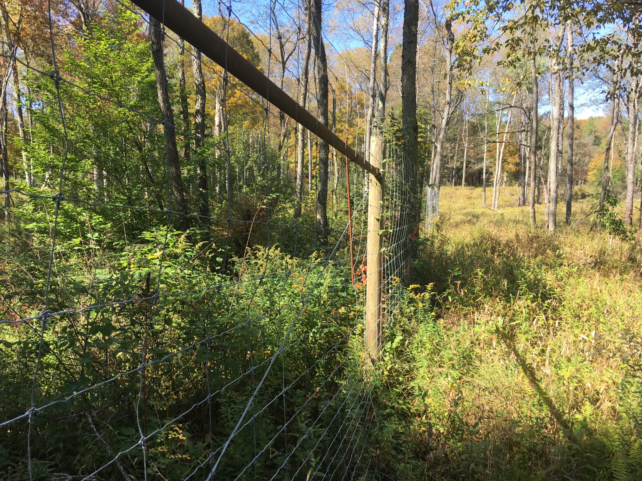 A Walk in Penn's Woods along the new Stony Hollow Trail - Foundation ...