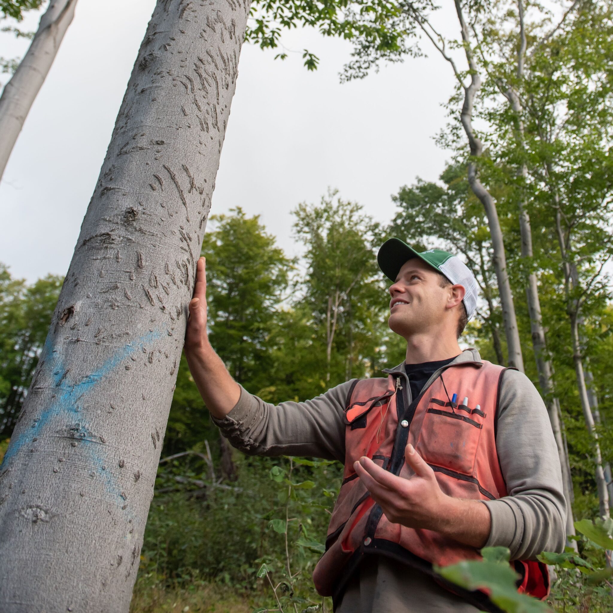 Loving the Land Through Working Forests Conference - Foundation for ...