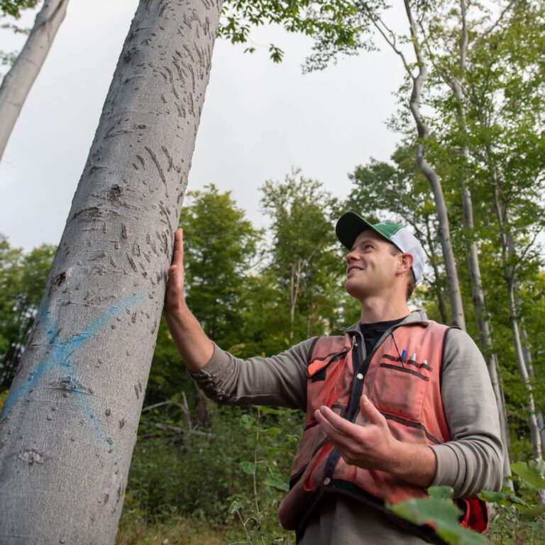 Loving the Land Through Working Forests Conference - Foundation for ...
