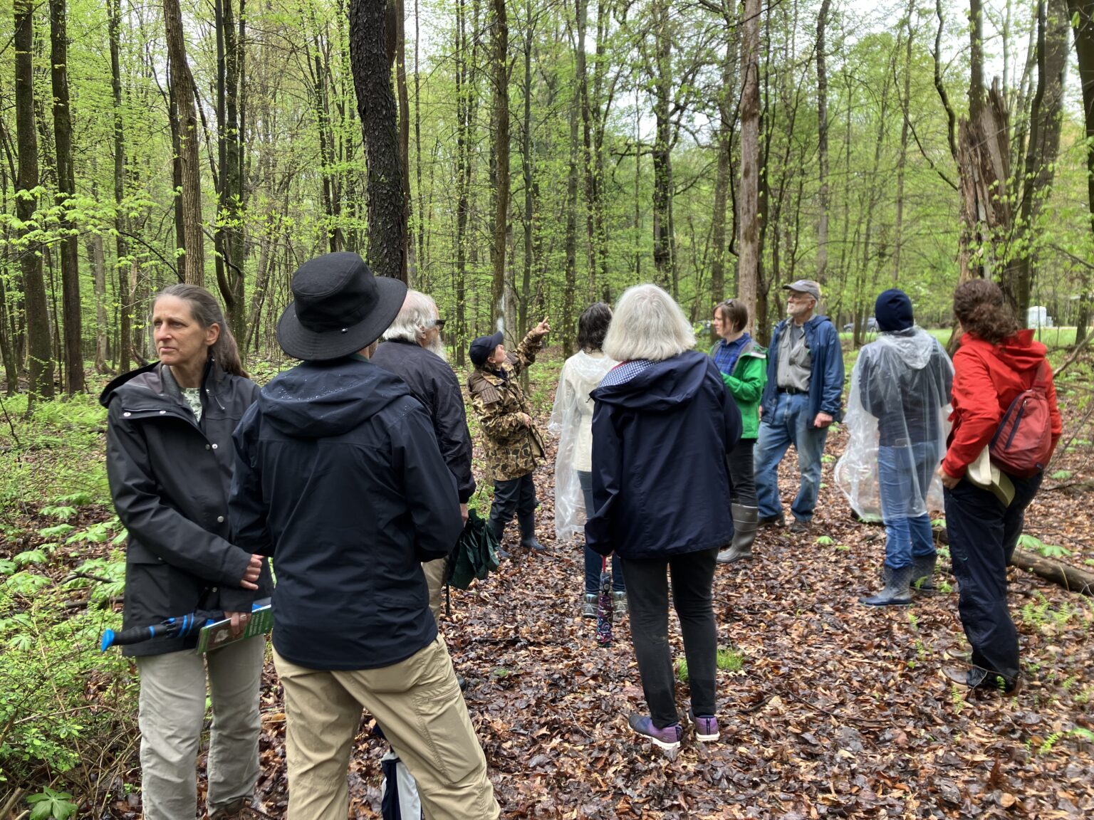 Soggy to Sunny at Sunday's Lynn Firth Wildflower Walk - Foundation for ...