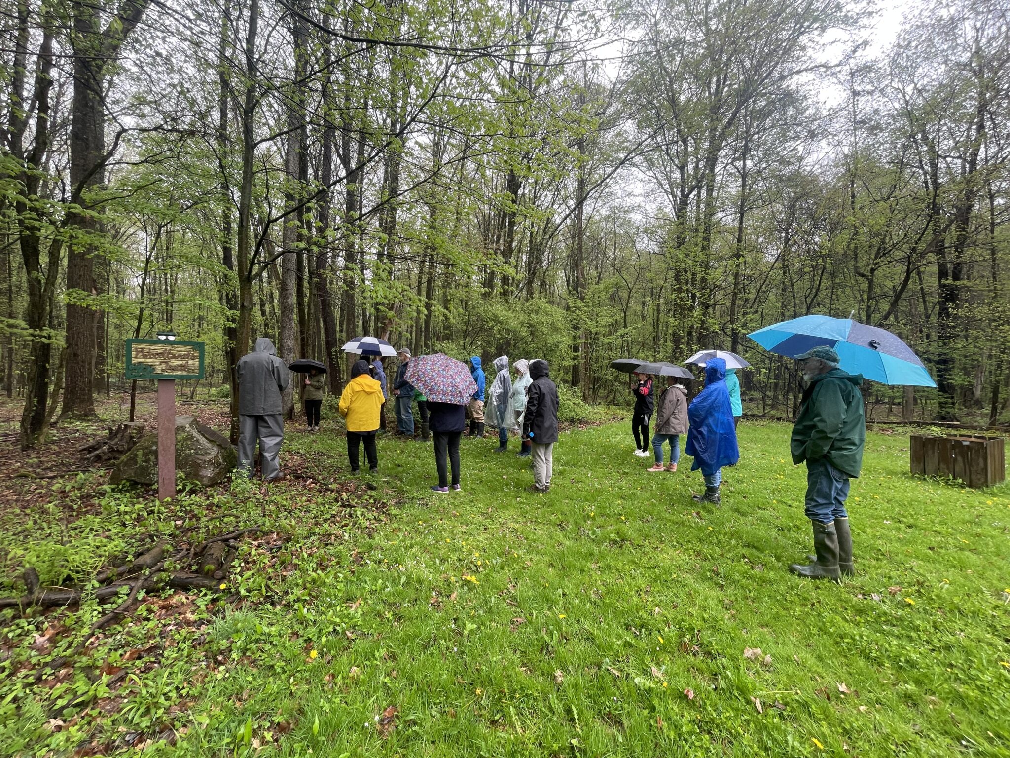 Soggy to Sunny at Sunday's Lynn Firth Wildflower Walk - Foundation for ...
